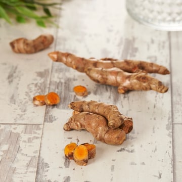 Jumbo Kurkuma Koenjit 100 g bestellen? | Jumbo