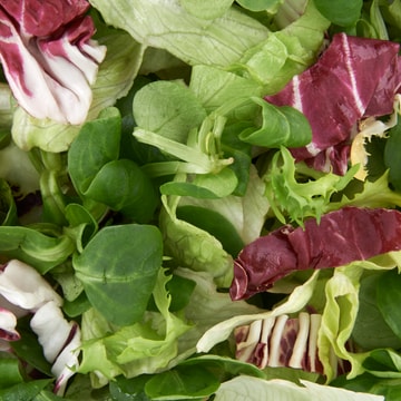 Jumbo Melange IJsbergsla & Veldsla 200 g bestellen? | Jumbo